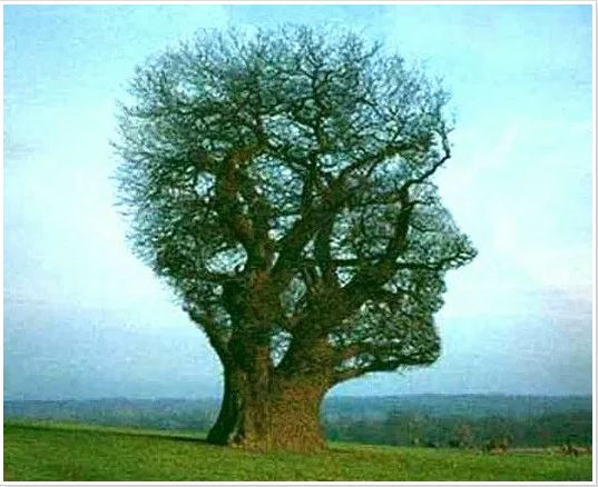 LA ESPIRITUALIDAD COMO DIMENSIÓN DE LA CONCEPCIÓN HOLÍSTICA DE LA SALUD ...